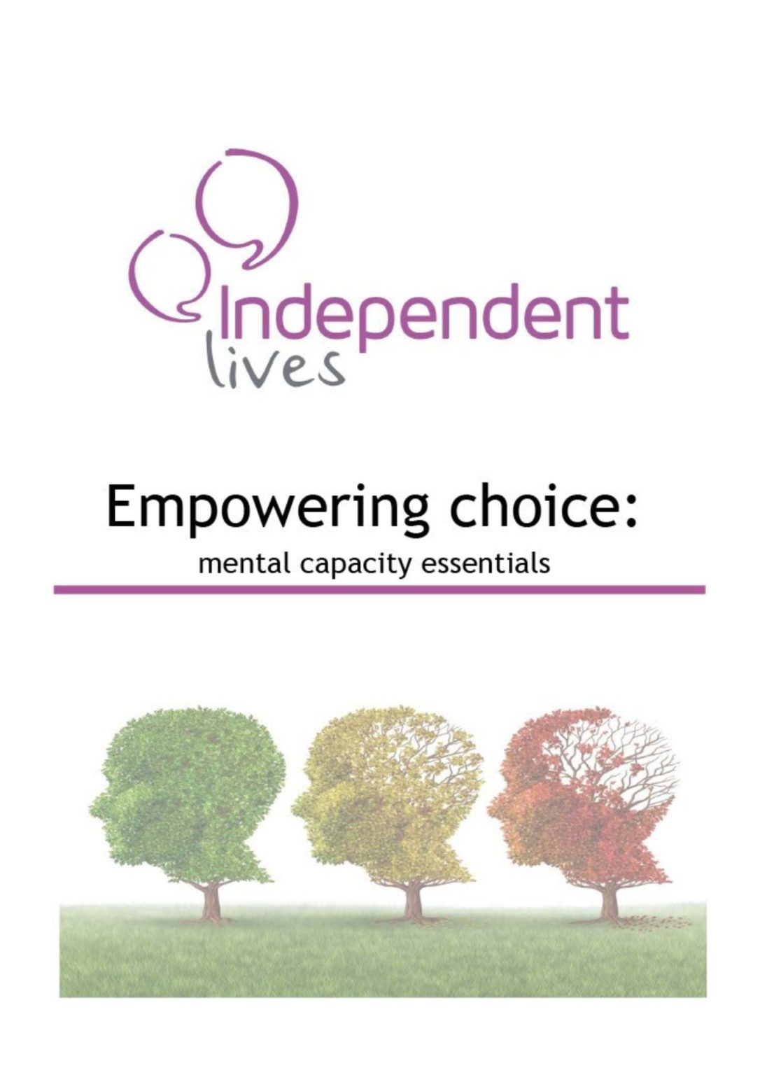 Empowering choice: mental capacity essentials workbook - PA Pages